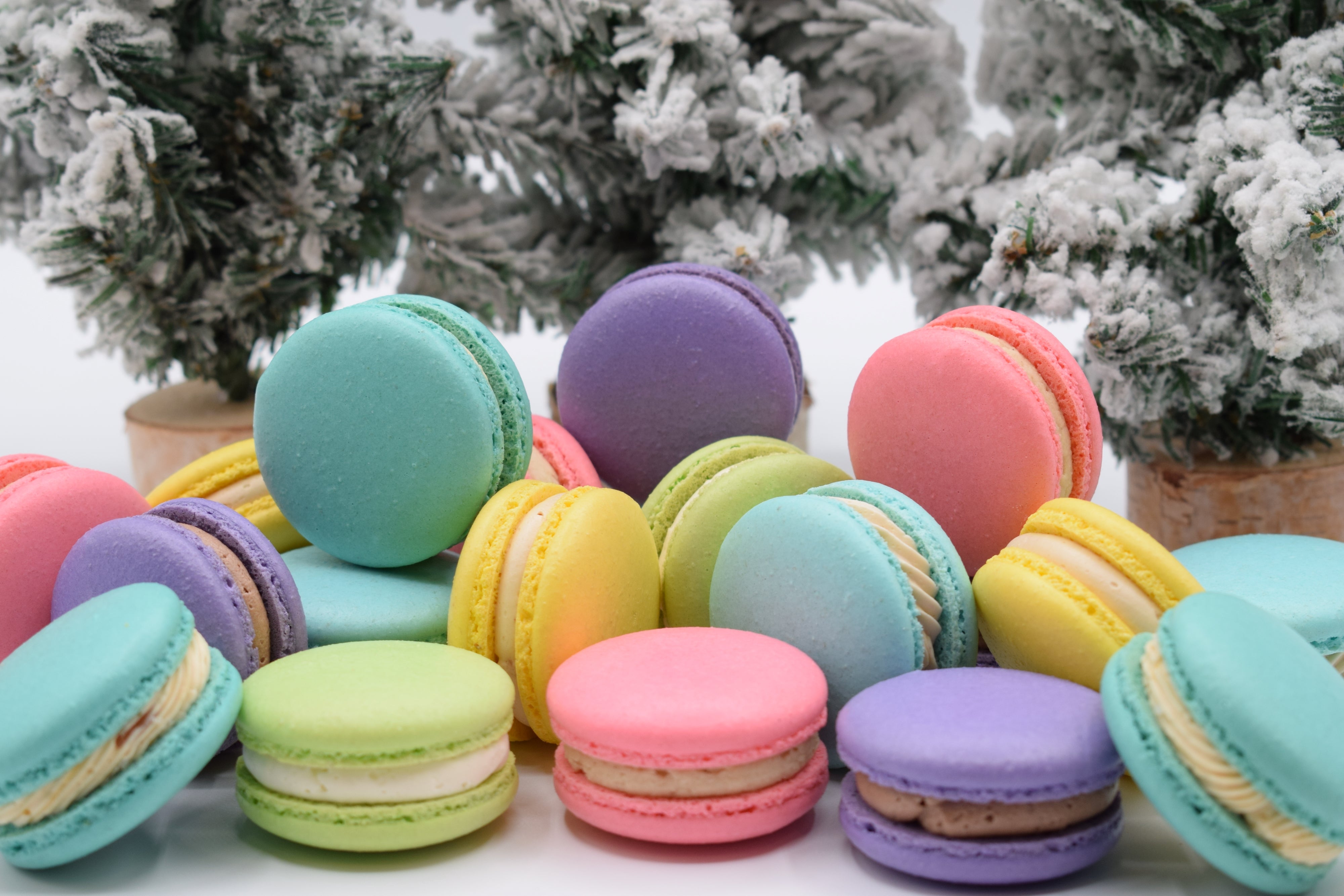 Korean Inspired French Macarons in Minneapolis, MN – K-Town Macaron